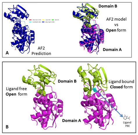 ligand binding at domain interfaces a alphafold2 predicted model download scientific diagram