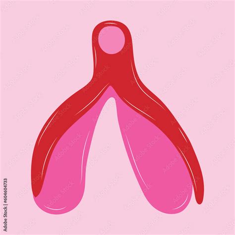 Reproductive System Of The Clitoris Clitoral Glans Feminism Theme And
