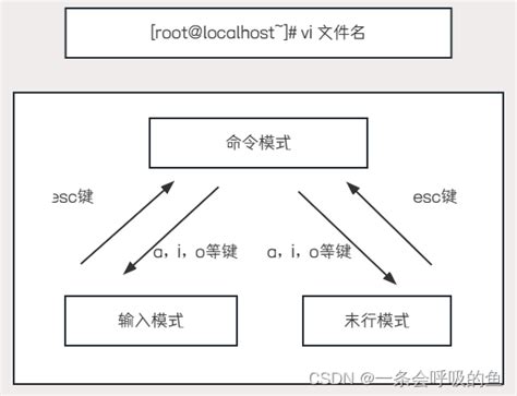 linux的基本指令 vi编辑器 linux vi编辑命令 csdn博客