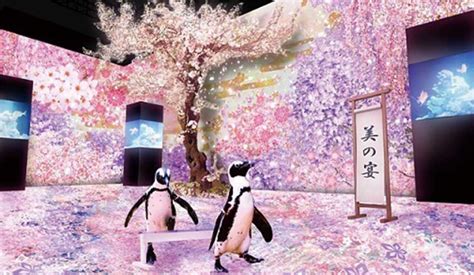 2020年Maxell Aqua Park品川水族馆与NAKED春季樱花重头戏海豚企鹅陪你一起赏樱 乐吃购日本