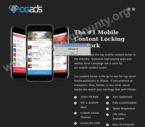 All Vulnerabilities For Ogads Patched Via Open Bug Bounty