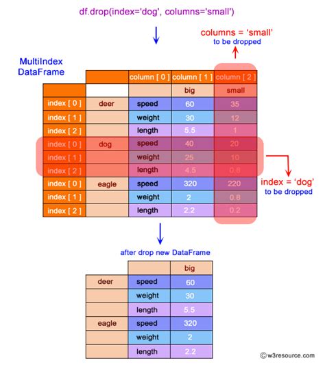 pandas dataframe drop