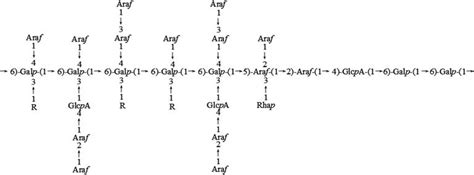 Polysaccharides Structure And Solubility IntechOpen