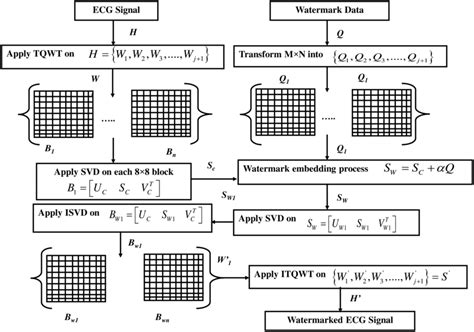 tqwt‐svd based ecg steganography scheme download scientific diagram