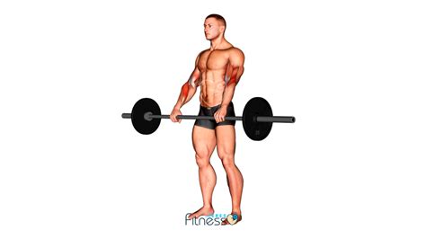 Curl De B Ceps Invertido Con Barra C Mo Hacerlo Correctamente