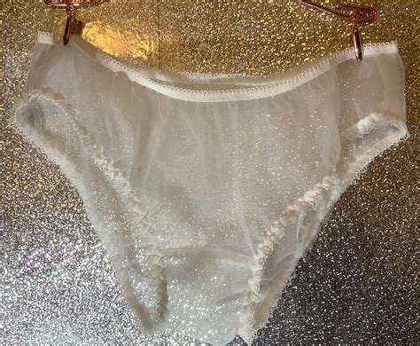 Vintage Style Sheer Nylon Panties Etsy