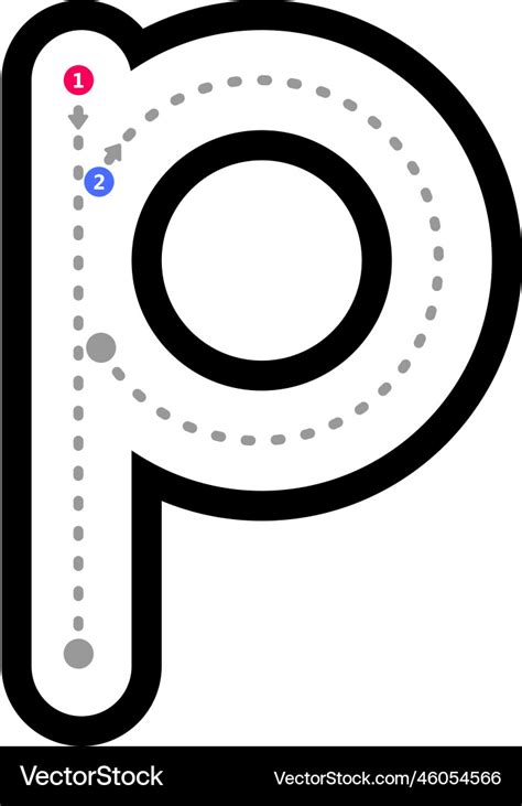 Tracing Alphabet Letter P Lowercase Prewriting Vector Image