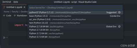 vs code配置使用 python vscode使用python 沉研的博客 csdn博客