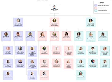 7 Types Of Organizational Structures 2024