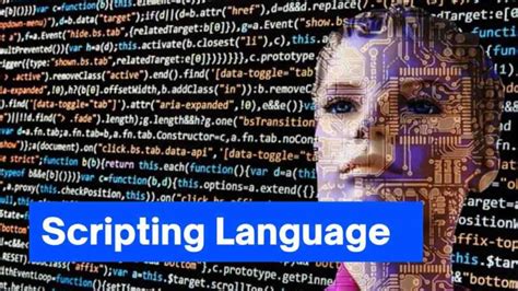 scripting language definition functions and types 2024