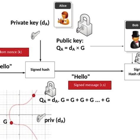 pdf research on elliptic curve crypto system with bitcoin curves secp256k1 nist256p