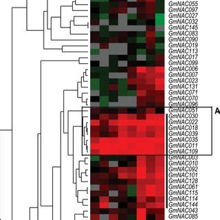 Heat Map Representation For Tissue Specific Expression Of 50 Predicted