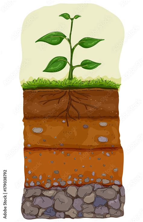 Soil Layer Illustration Stock Vector Adobe Stock