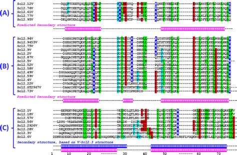 Multiple Sequence Alignment Analysis Of Scl V Region Variants A