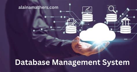 Database Management System For Your Business
