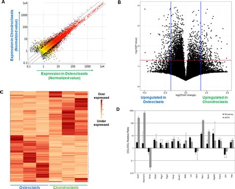 Differential Gene Analyses Reveal Discrete Transcriptomic Signature Of