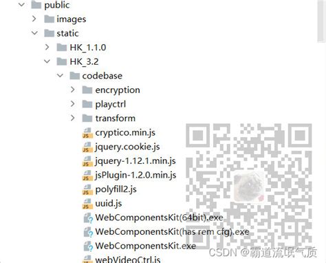 hikvison对接nvr实现web无插件开发包实现前端视频预览 html、vue、nginx代理 极客之音