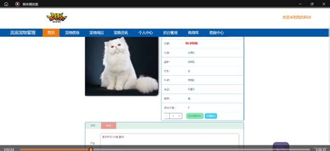 ssm php node python流浪宠物管理 csdn博客