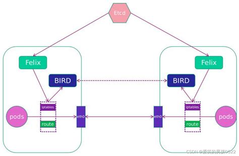 kubernetes网络组件详解 csdn博客