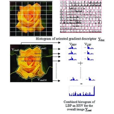 image segmented using the slic algorithm into superpixels download scientific diagram