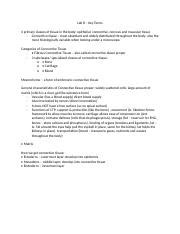 Connective Tissue Types Functions And Cellular Components Course Hero
