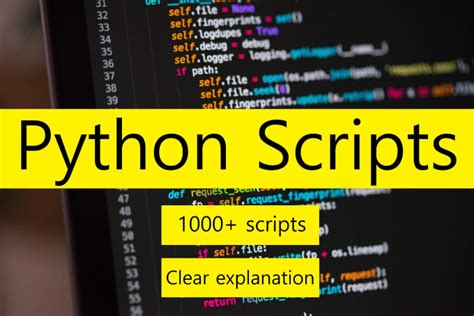 write python scripts and explain them by eviloper fiverr