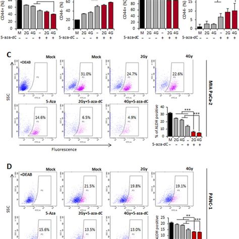 Global Transcriptome Analysis In Pancreatic Cancer Cells Using RNA Seq