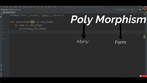 Objects Oriented Programming Polymorphism In Python Polymorphism In Python Hindi Tcs