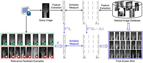 relevance feedback based medical image retrieval framework download scientific diagram