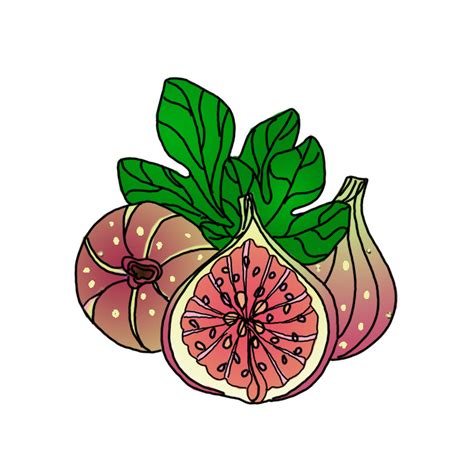How To Draw A Fig Really Easy Drawing Tutorial Off