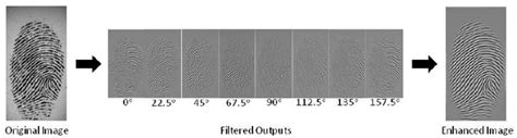 enhancement procedure using gabor filtering download scientific diagram