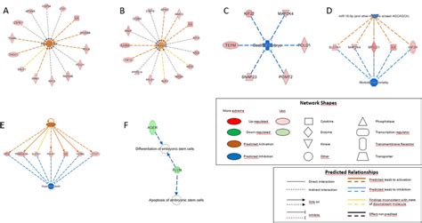 Functional Annotation Of The Differentially Expressed Genes Using The