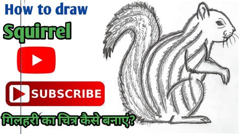 How to draw Squirrel Drawing गलहर क चतर Drawing Squirrel
