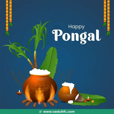 An Incredible Compilation Of Over 999 Pongal Images 2020 In Full 4K