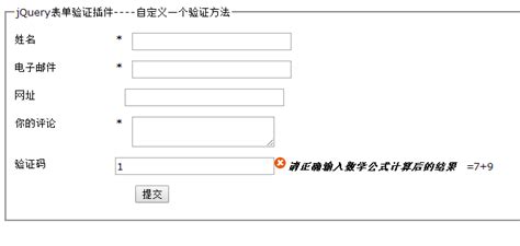 jquery插件validate实现自定义表单验证 jquery 脚本之家
