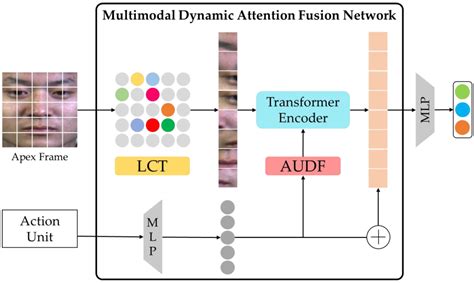 entropy free full text multimodal attention dynamic fusion network for facial micro