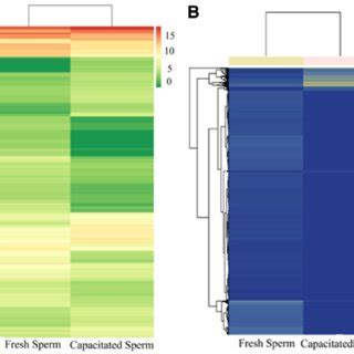 Hierarchical Cluster Analysis Of Significantly Differentially Expressed