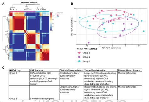 hfpef subgroups identified by nonnegative matrix factorization nmf download scientific