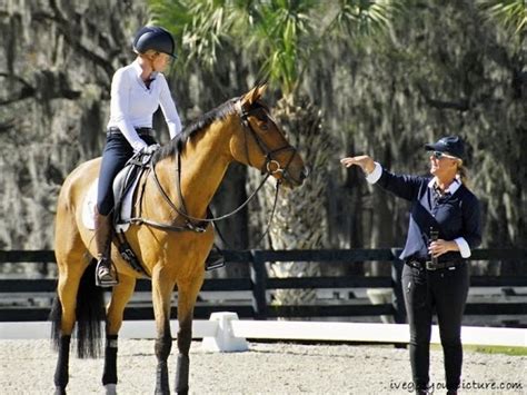 Morning Notes From The Icp Symposium With Jacqueline Brooks Eventing Nation Three Day