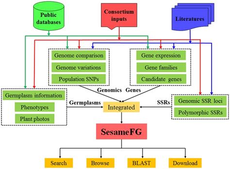 sesamefg an integrated database for the functional genomics of sesame scientific reports