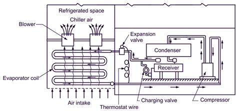 What Is Cold Storage Working Diagram Construction Advantages