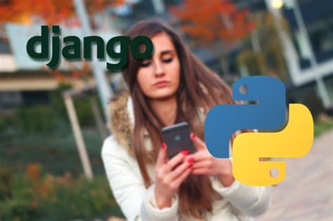 do python django flask backend developement by aliazan0718 fiverr