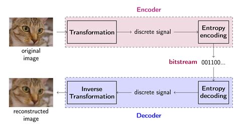 8 neural compression
