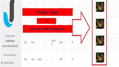 Display Images To Report In Oracle Apex Javainhand Tutorial