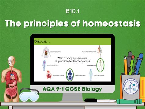 Principles Of Homeostasis Teaching Resources