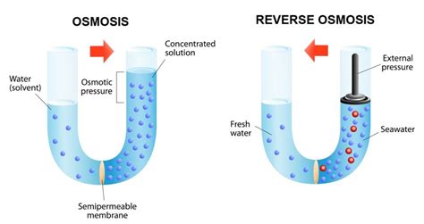 Explain Reverse Osmosis With Diagram
