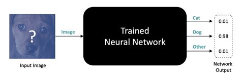 unlock the power of fine tuning pre trained models in tensorflow fine tune