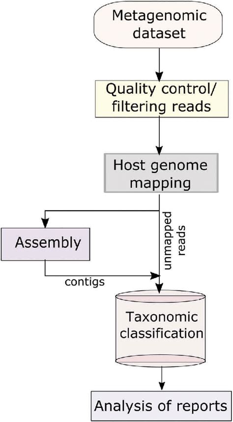 bioinformatic workflow for viral metagenomics the main bioinformatics download scientific