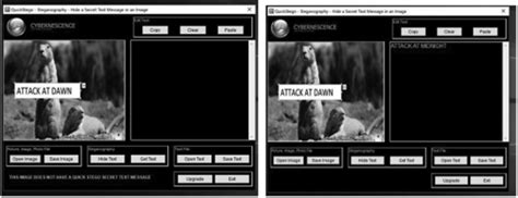steganography and relation to crypto