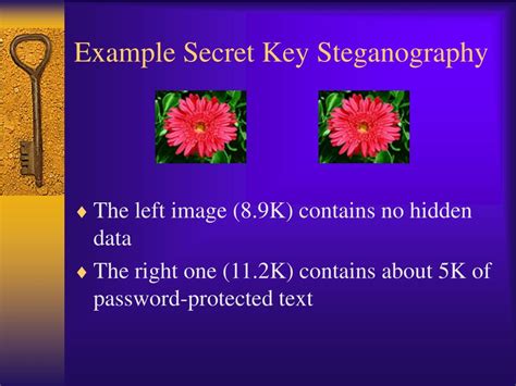 ppt steganography powerpoint presentation free download id 3047005